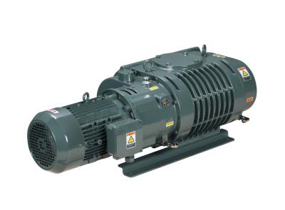China BSJ300L 300L/S Vacuum Booster Pump 50Hz 5HP Mechanical Vacuum Booster System Pump for sale
