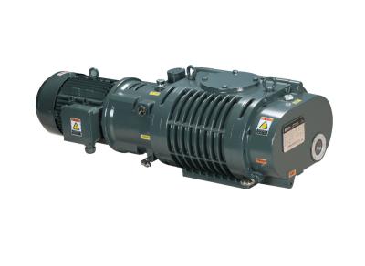 China BSJ300L Freeze Drying Vacuum Pump Vacuum Roots Pump 1000M3/H for sale
