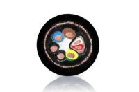 China Charging Cables for Electrical Vehicles EVDC-RS90S90  EVDC-RS90S90PS90 for sale
