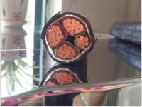 China 0.6/1KV Copper core PVC insulated PVC sheathed power cable (YJV22 1x95) for sale