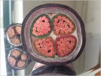 China 0.6/1KV Copper core PVC insulated PVC sheathed power cable (YJV22 1x95) for sale