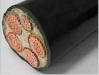 China 0.6/1KV Copper core PVC insulated PVC sheathed power cable (YJV22) for sale
