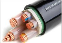 China 0.6/1KV Copper core PVC insulated PVC sheathed power cable (YJV22) for sale