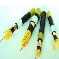 China PVC Insulation Hard Copper Conductor  Round Control Cable KVV 450/750V in black color Jacket for sale