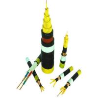 China PVC Insulation Hard Copper Conductor  Round Control Cable KVV 450/750V in black color Jacket for sale