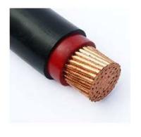 China ECHU UL CABLE ROHS PVC Double Insulation 6AWG 600V UL1283 105℃ Electrical Wire in Black color for sale
