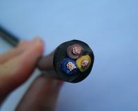 China RoHS UL2570 PVC Double Insulated Copper Wire Multi Core Shealth Cable for sale