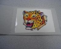 China High Temperature Ceramic Transfer Paper / Waterslide Decal Paper for Transparent Printable for sale