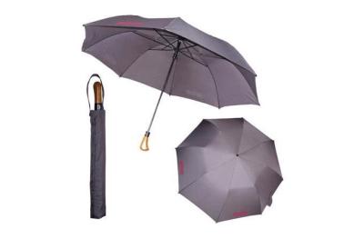 China Grey Color Golf Style Sturdy Folding Umbrella 2 Section Auto Open Frame for sale