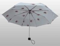 China Heavy Duty Sturdy Strong Rain Umbrella Manual Open Solid Fiberglass Frame for sale