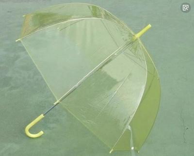 China Light Yellow POE Clear See Through Umbrella Auto Open Metal Frame With Flute Rbis for sale