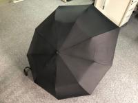 China 3 Folding Backpack Lover Auto Open Close Umbrella Black Color Lightweight for sale