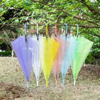 China EVA Long Handle Rain Sun Clear Plastic Dome Umbrella Rainproof Wedding Photo for sale