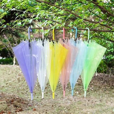 China EVA Long Handle Rain Sun Clear Plastic Dome Umbrella Rainproof Wedding Photo for sale