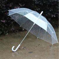 China EVA Long Handle Rain Sun Clear Plastic Dome Umbrella Rainproof Wedding Photo for sale