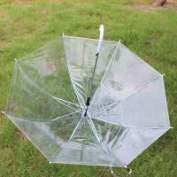China EVA Long Handle Rain Sun Clear Plastic Dome Umbrella Rainproof Wedding Photo for sale