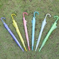 China EVA Long Handle Rain Sun Clear Plastic Dome Umbrella Rainproof Wedding Photo for sale