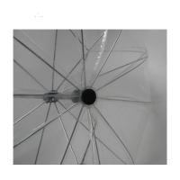 China 30 Inch Helmet Clear Dome See Through Umbrella Straight Wooden Handle for sale