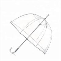 China Custom Logo Compact Bubble Umbrella , Clear Transparent Umbrella For Womens for sale