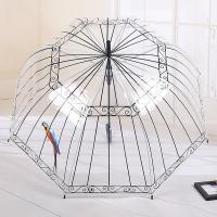 China POE Rain Stick Birdcage Umbrella , Auto Open Clear See Thru Umbrellas for sale
