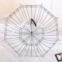 China POE Rain Stick Birdcage Umbrella , Auto Open Clear See Thru Umbrellas for sale