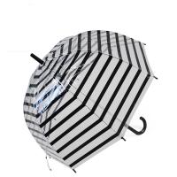 China Small Manual Open See Through Umbrella Stripe Transparent Bubble Umbrella for sale
