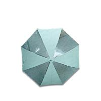 China Straight Poe Pvc Transparent Clear See Through Umbrella Storm Proof Lightweight for sale