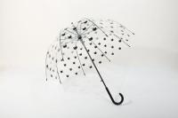 China POE Clear Mini See Through Umbrella Children Straight Handle Lightweight for sale