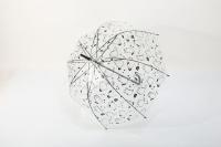 China POE Clear Mini See Through Umbrella Children Straight Handle Lightweight for sale