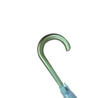 China Cute Full Coverage Clear Bubble Umbrella Pink Trim White Hook Handle Plastic Cap for sale