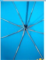 China Blue Color Custom Print Popular Auto Open Umbrella , 3 Fold Ladies Umbrella for sale