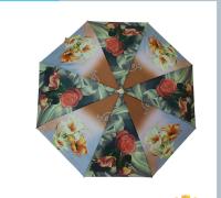 China Gift Compact Foldable Auto Open Umbrella For Adults , Self Fabric Pouch for sale