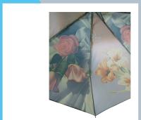 China Gift Compact Foldable Auto Open Umbrella For Adults , Self Fabric Pouch for sale