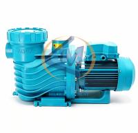 China High water volume plastic water swimming pool pump for commercial – CE Certified & One-Stop Supply for sale