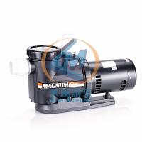 China High water volume plastic water swimming pool pump for commercial – CE Certified & One-Stop Supply for sale