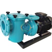 China Vertical & Horizontal Cast Iron Water Pump – High-Efficiency Pool Filtration System Pump for sale