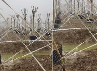 China Stable High Tenacity Agriculture Polyester Wire Anti Corrosive for sale