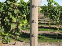 China Crop Support Greenhouse Polyester Wire Irrigation Lines Bird Netting Installing for sale