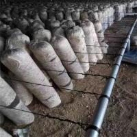 China 2.6mm Greenhouse Polyester Wire Shading Net Support In Vineyards Orchards for sale