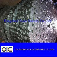 China 1/4 Inch Pitch ANSI Standard Grade 40 Roller Chains for sale