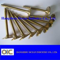 China Auto Valve Use For Ford , Buick ,  , Audi , Peugeot ,  , Skoda Toyota , Nissan , Lexus for sale