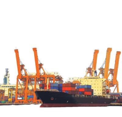 China FCL LCL Sea Container Shipping 40HC With Dangerous Goods Transportation for sale