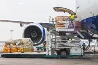 China Expert Air Freight Forwarder for Shipment from to Pakistan Kazakhstan Kyrgyzstan Uzbekistan Turkmenistan and Afghanistan for sale