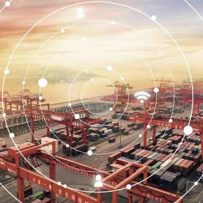 China Door To Door Shipping From Sea Freight Service for Professional Buyers for sale