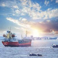 China Sea Freight Service FCL LCL From To USA Shipment Destination LT Lithuania for Your Temperature-Sensitive Cargo for sale