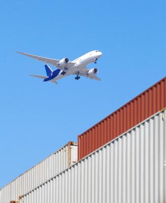 China Sea Freight Service FCL LCL Shipping Service From Featuring Warehousing Consolidation Labeling Options LCL Express Shipping Mode for sale