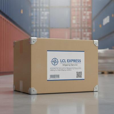 China LCL Express Shipping Service From With FCL LCL Container Warehousing Consolidation Labeling For Cargo Shipping Solutions for sale
