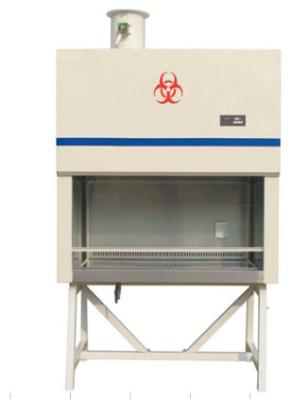 China Biosafety Cabinet BSC-1000-Ⅱ-A2 Class 100 ISO5 Cleanroom Air Purification Equipment for sale
