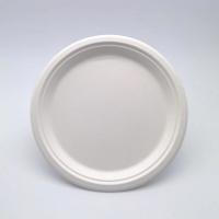 China Recyclable Compostable Bagasse Disposable Plate Round Waterproof for sale