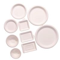 China 10 Inch Pulp Plate Sugarcane Bagasse Tableware for sale